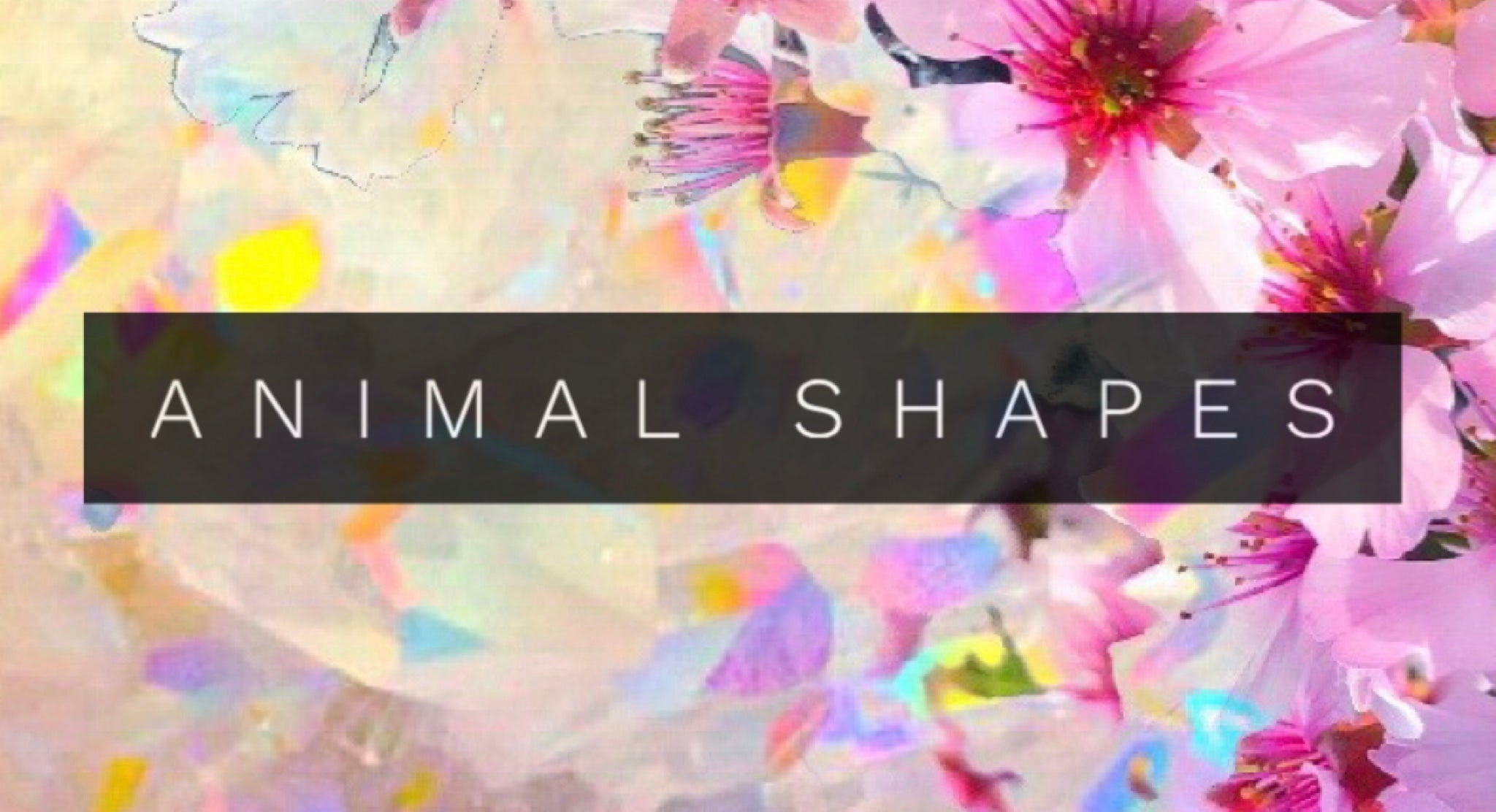 Animal Shapes – Prism Souls